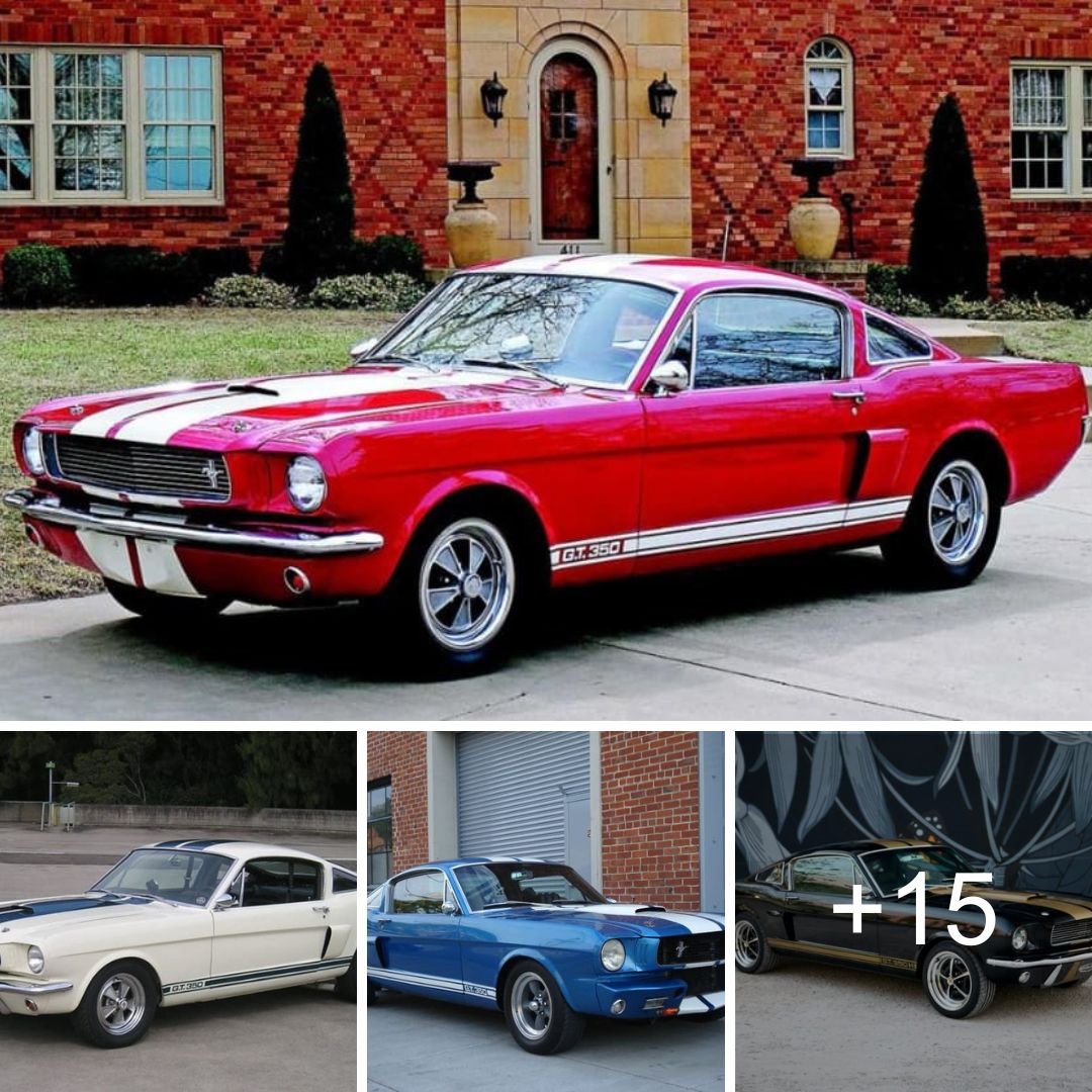 1966 Shelby Mustang GT350: The Ultimate American Muscle Car - Old Cars ...