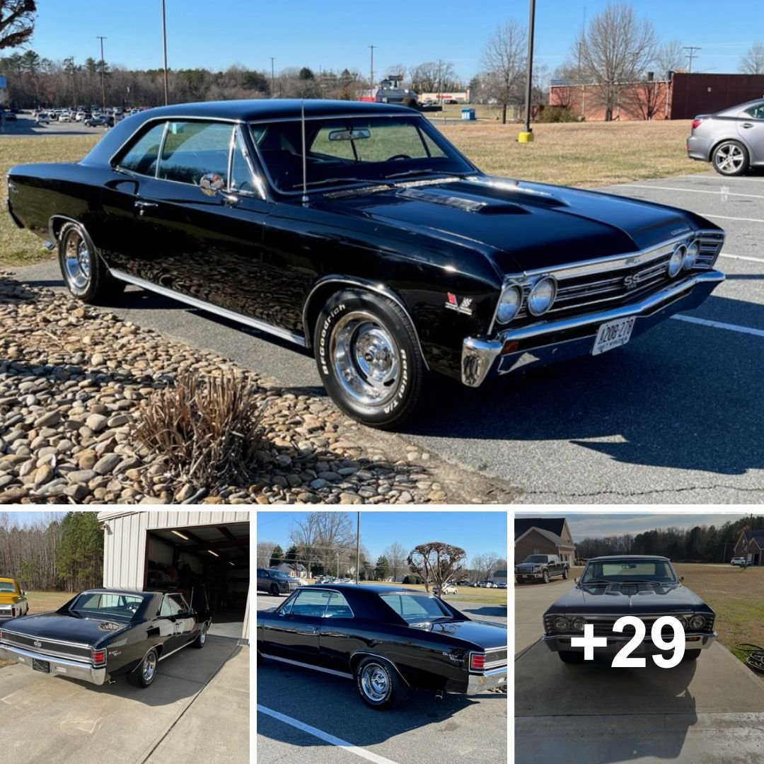1967 CHEVROLET Chevelle SS - Old Cars Lovers
