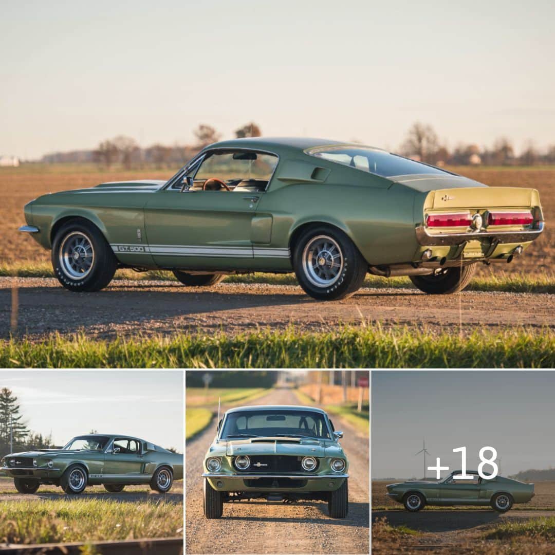 1967 Shelby GT 500 Fastback - Old Cars Lovers