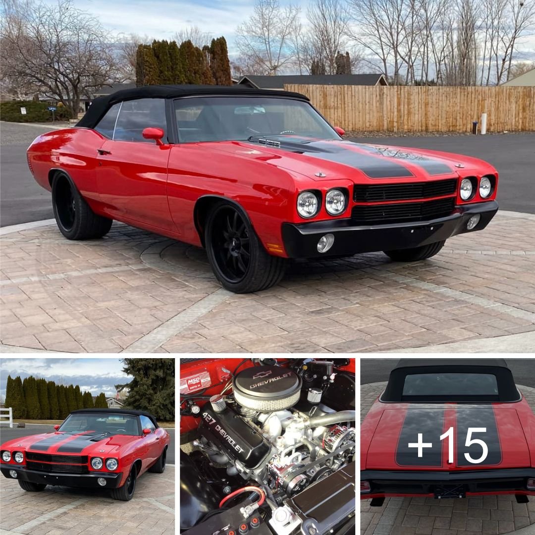 1970 CHEVROLET CHEVELLE SS - Old Cars Lovers
