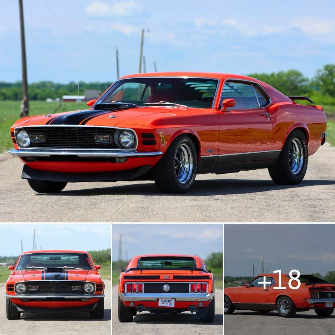 1970 Ford Mustang Mach 1 - Old Cars Lovers