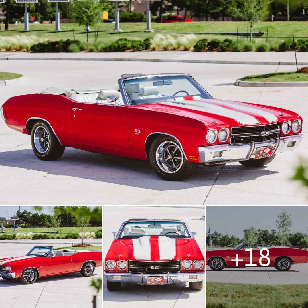 Muscle and Style: The 1970 Chevrolet Chevelle SS - Old Cars Lovers